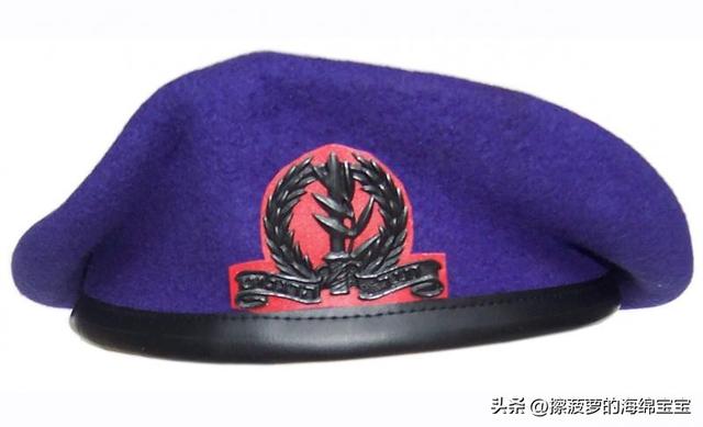What does the color of an Israeli soldier's beret mean? - iNEWS